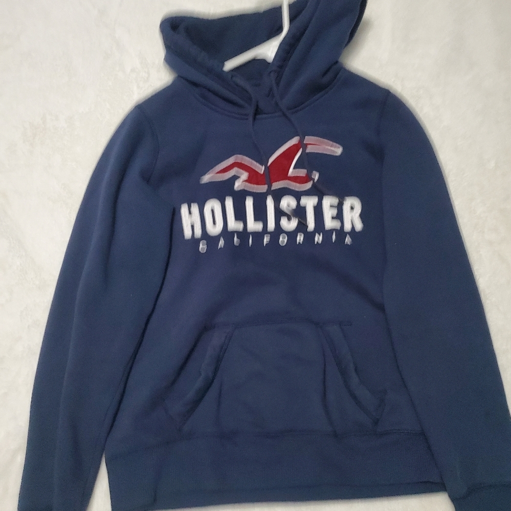Holister Hoodie - Gem
